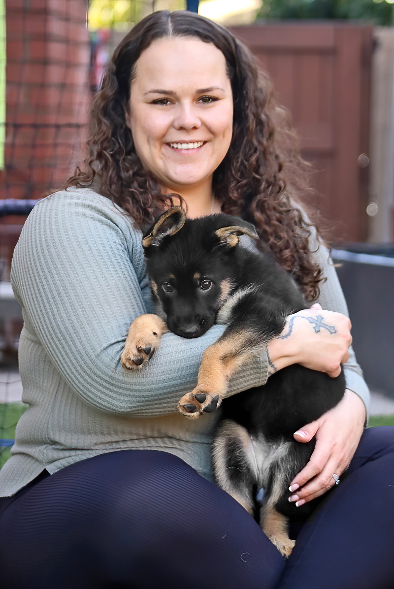 Westside German Shepherd Rescue of Los Angeles