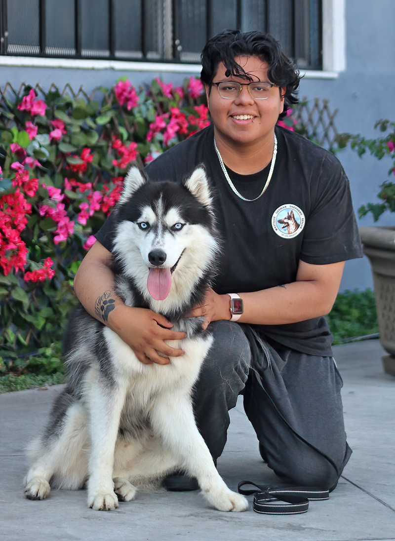 Westside German Shepherd Rescue of Los Angeles