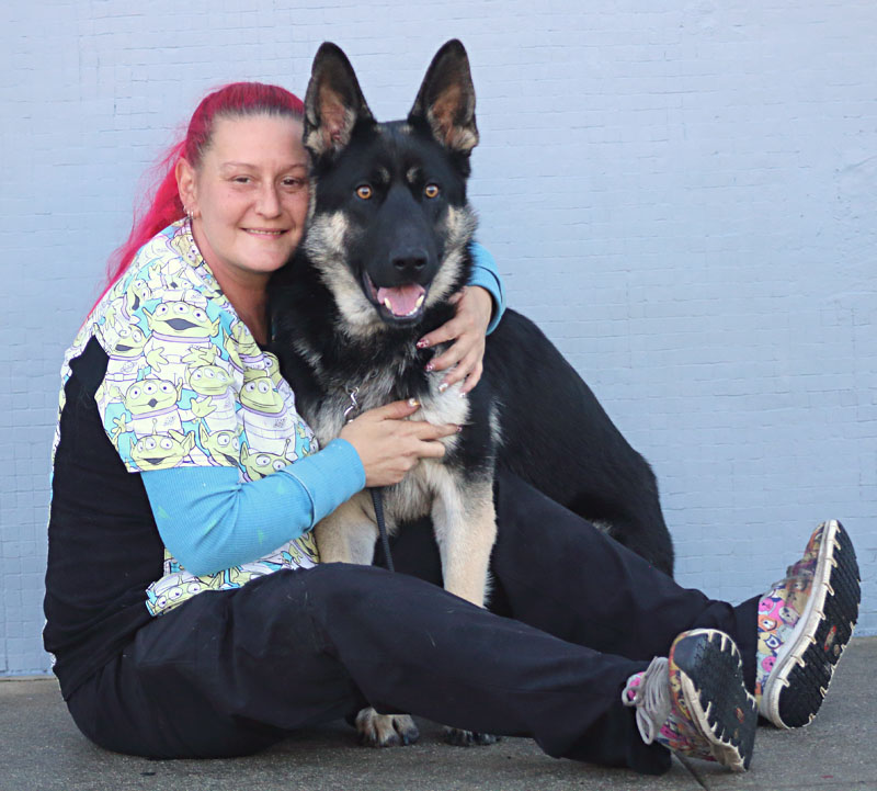 Westside German Shepherd Rescue of Los Angeles