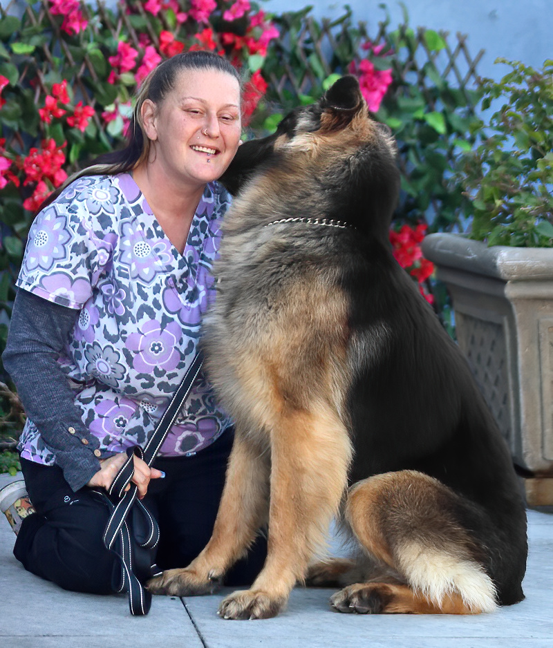Westside German Shepherd Rescue of Los Angeles