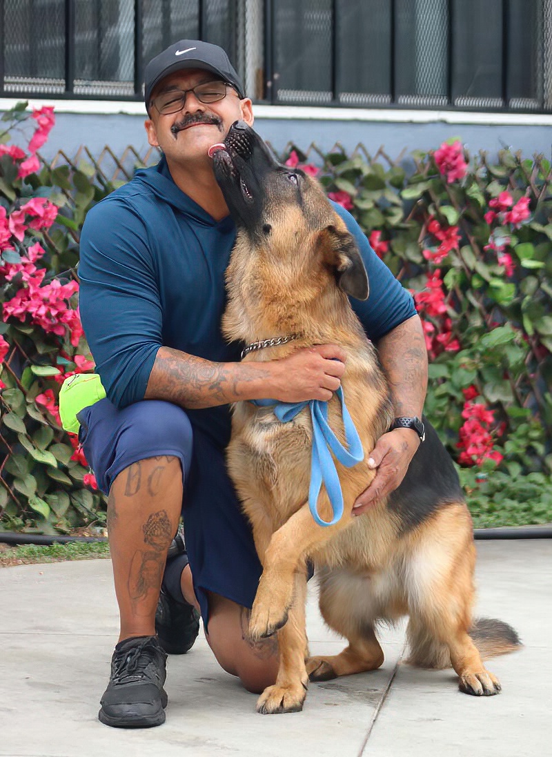 Westside German Shepherd Rescue of Los Angeles