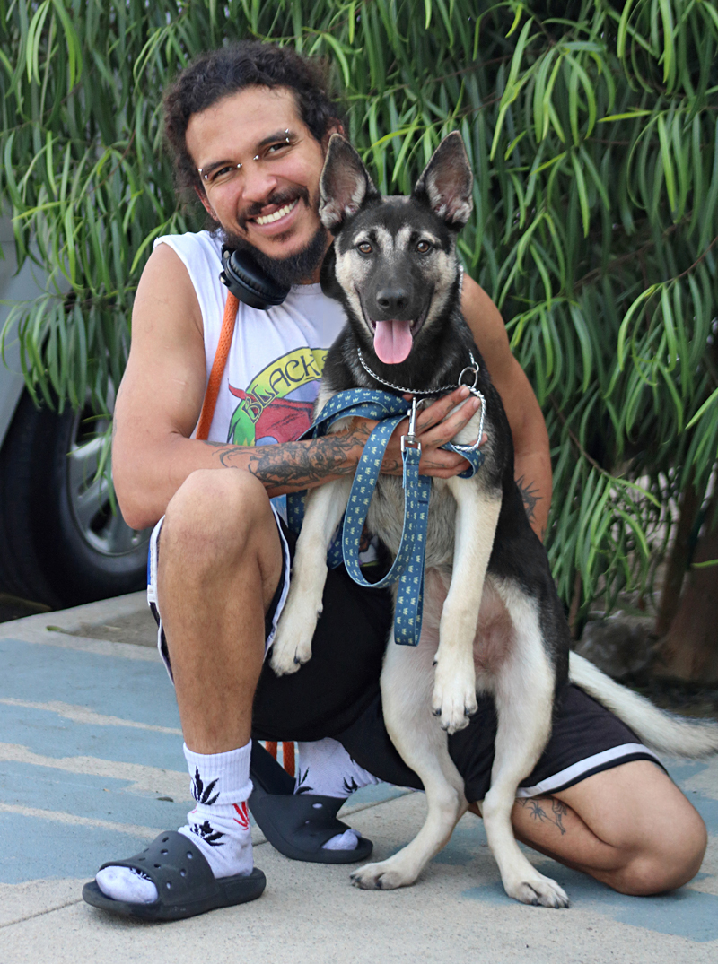 Westside German Shepherd Rescue of Los Angeles