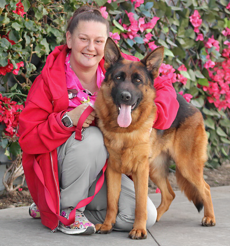 Westside German Shepherd Rescue of Los Angeles
