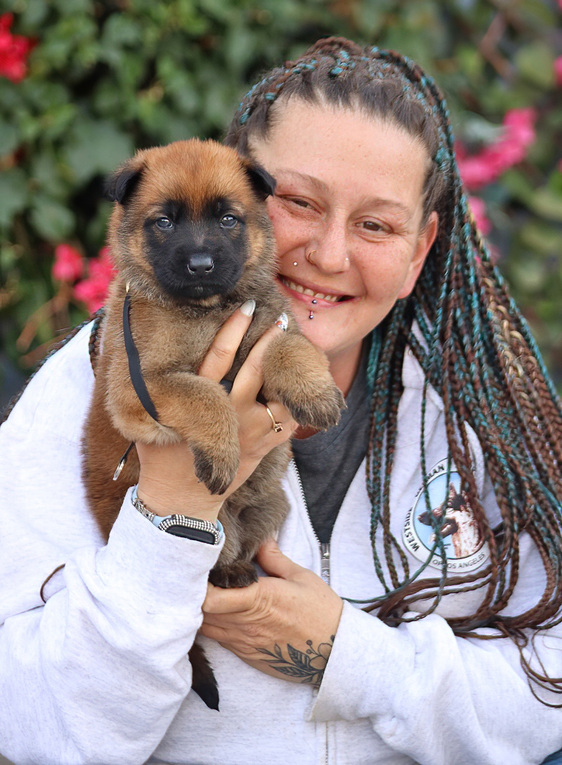 Westside German Shepherd Rescue of Los Angeles