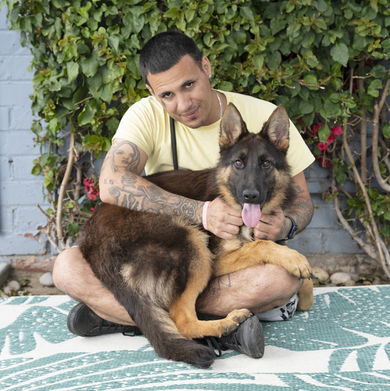 Westside German Shepherd Rescue of Los Angeles