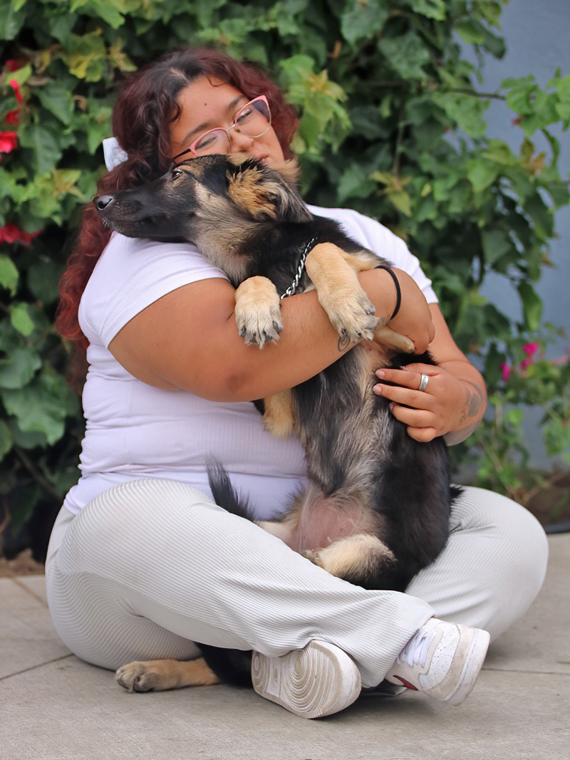 Westside German Shepherd Rescue of Los Angeles