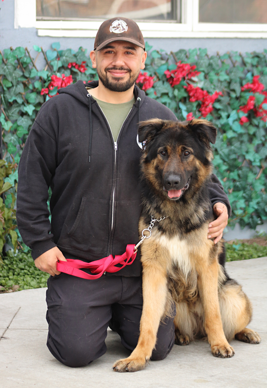Westside German Shepherd Rescue of Los Angeles