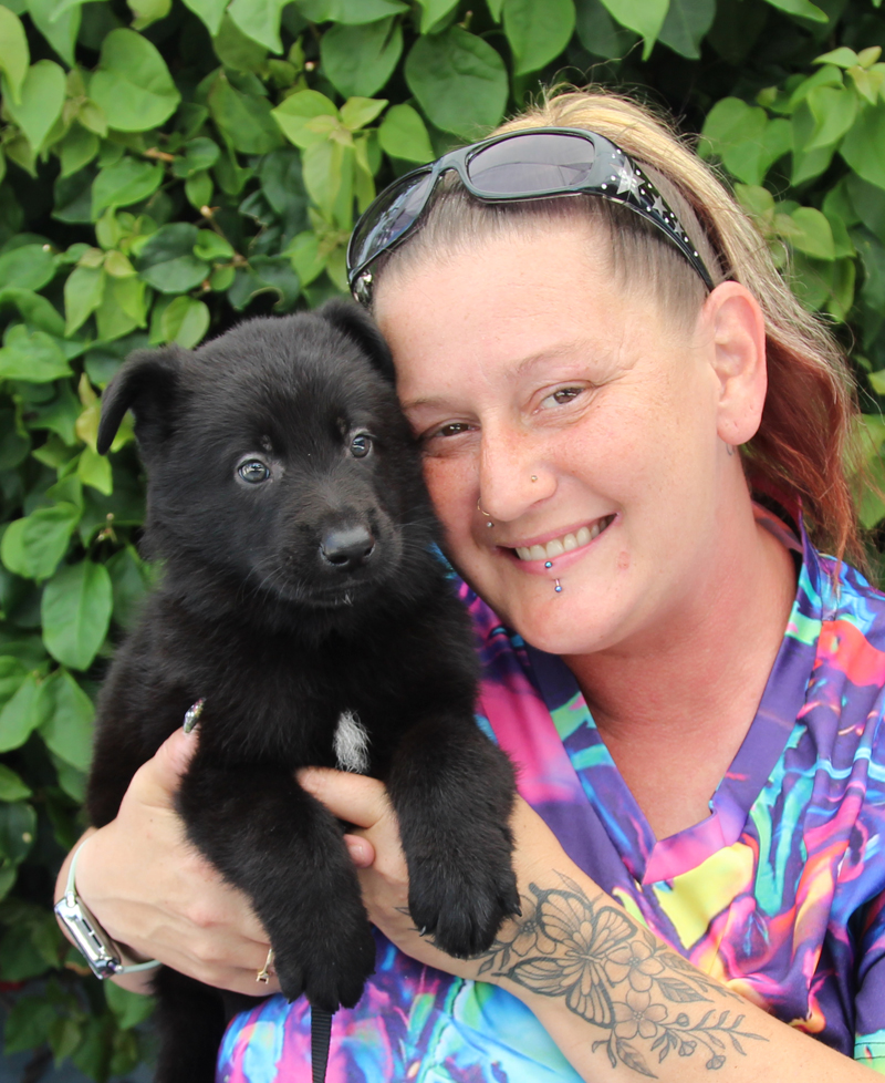 Westside German Shepherd Rescue of Los Angeles