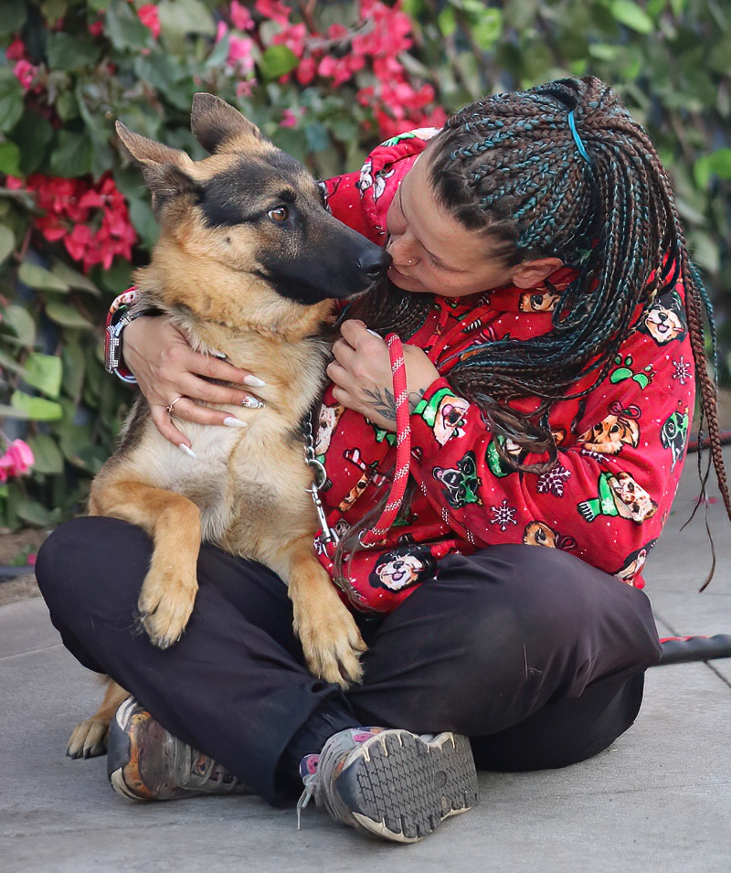 Westside German Shepherd Rescue of Los Angeles