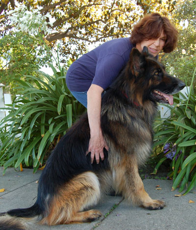 Westside German Shepherd Rescue of Los Angeles