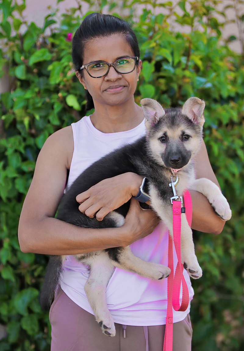 Westside German Shepherd Rescue of Los Angeles