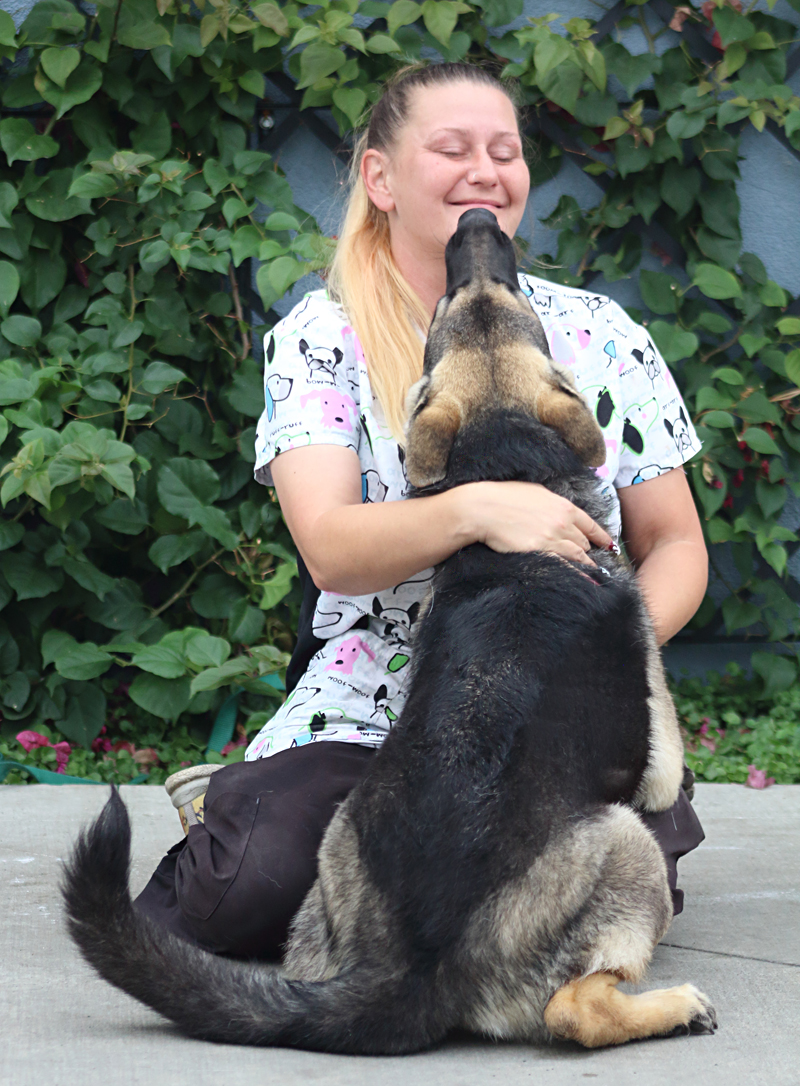 Westside German Shepherd Rescue of Los Angeles