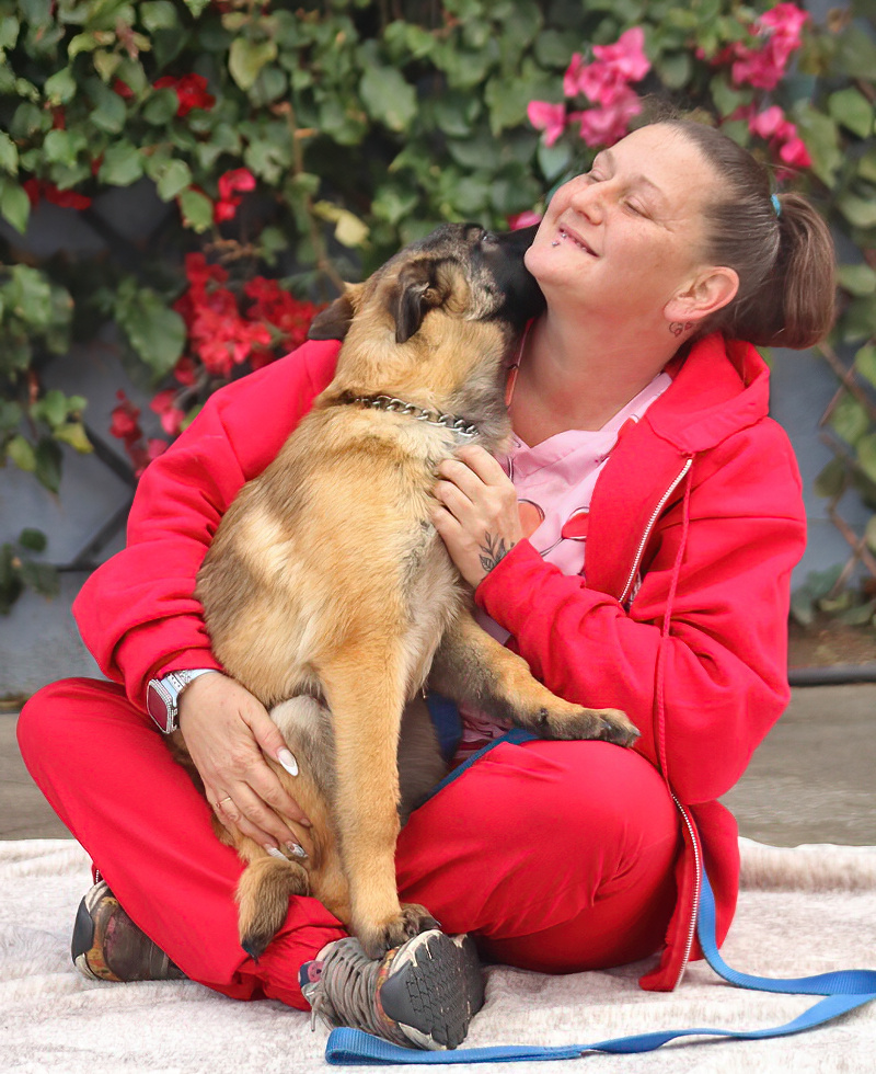 Westside German Shepherd Rescue of Los Angeles