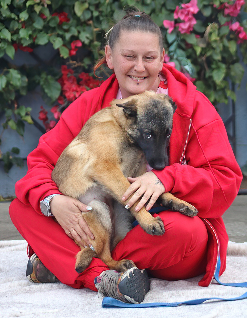 Westside German Shepherd Rescue of Los Angeles