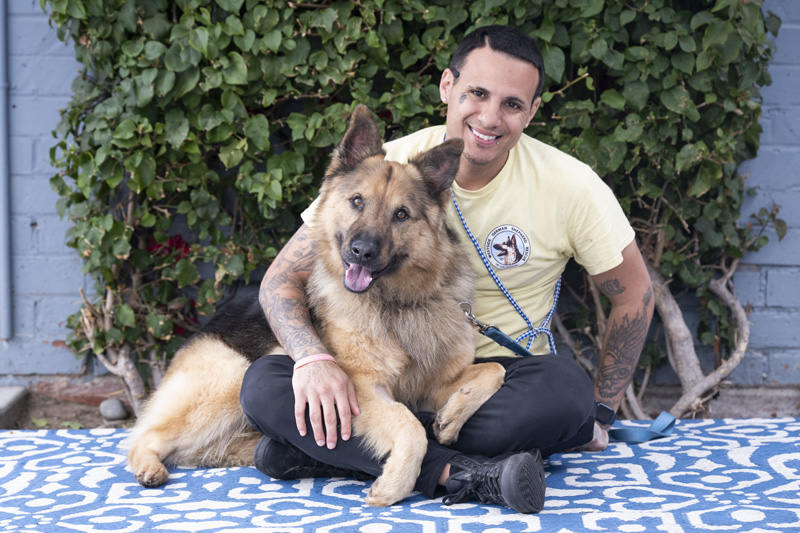 Westside German Shepherd Rescue of Los Angeles