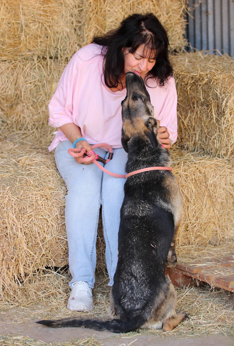 Westside German Shepherd Rescue of Los Angeles