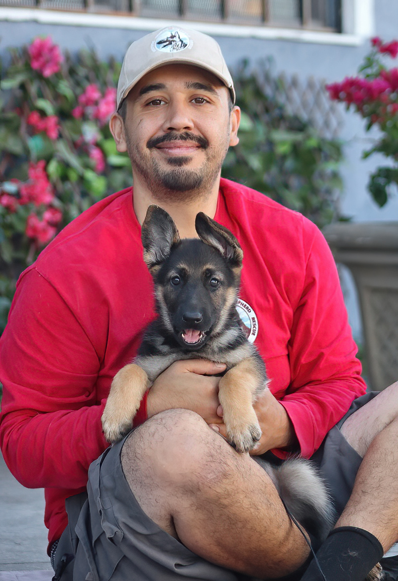 Westside German Shepherd Rescue of Los Angeles