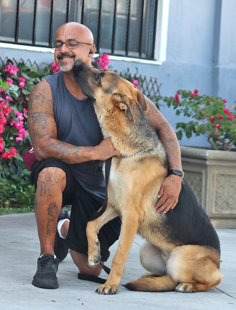 Westside German Shepherd Rescue of Los Angeles
