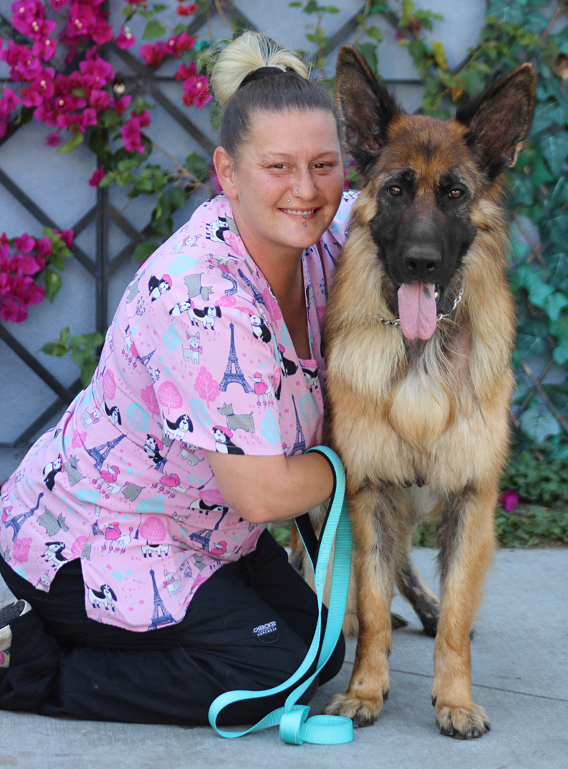 Westside German Shepherd Rescue of Los Angeles