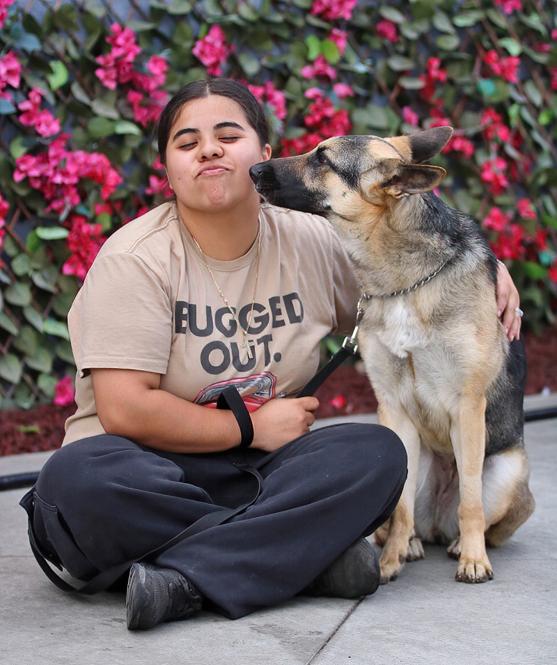 Westside German Shepherd Rescue of Los Angeles