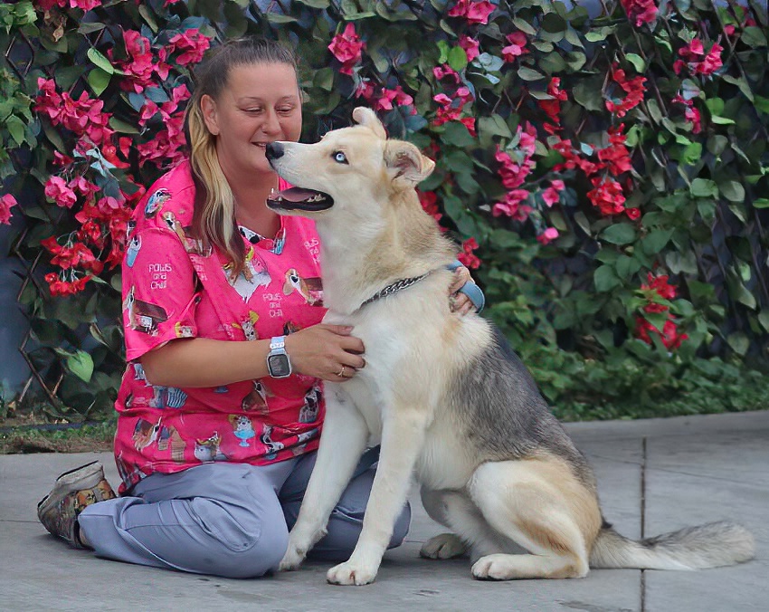 Westside German Shepherd Rescue of Los Angeles