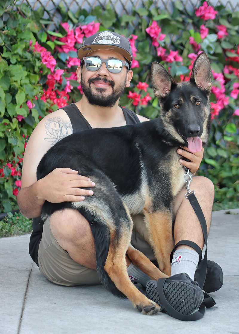 Westside German Shepherd Rescue of Los Angeles