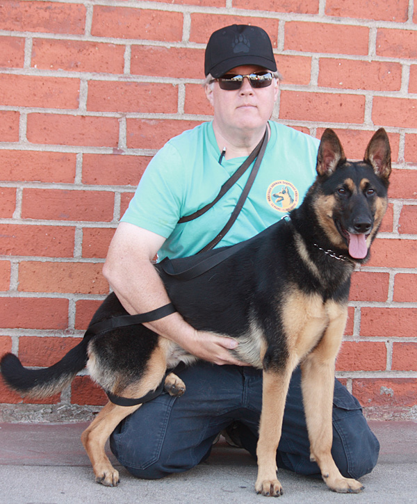Westside German Shepherd Rescue of Los Angeles