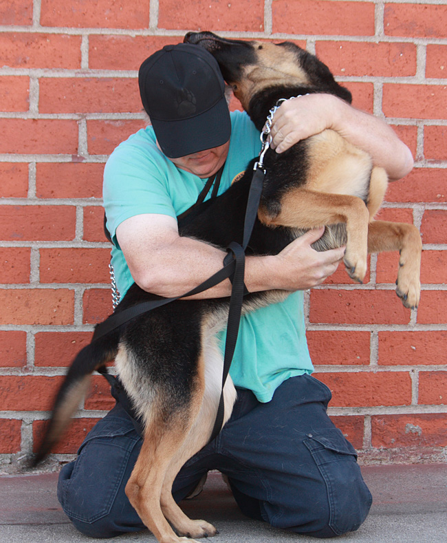 Westside German Shepherd Rescue of Los Angeles