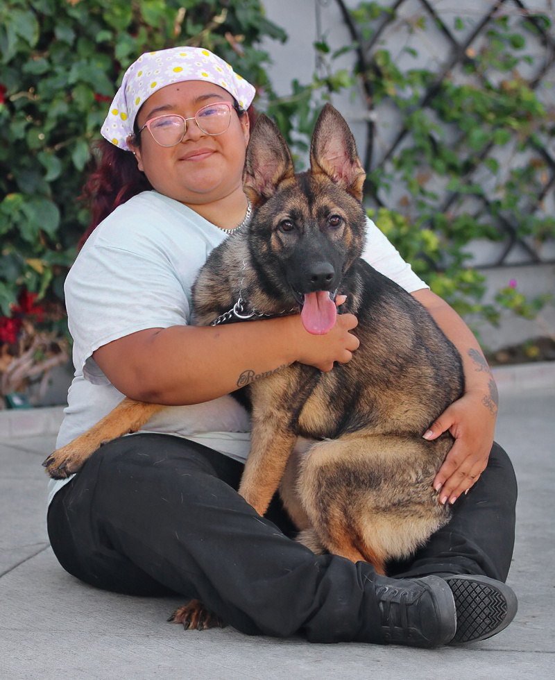 Westside German Shepherd Rescue of Los Angeles