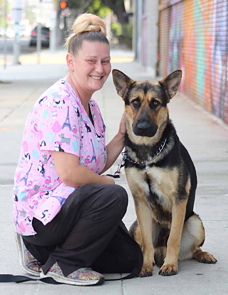 Westside German Shepherd Rescue of Los Angeles