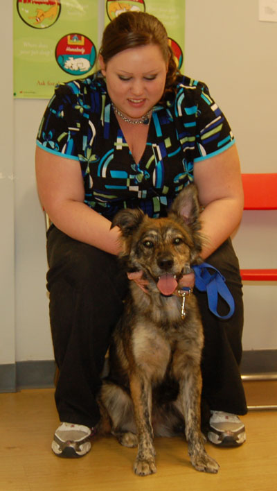 Westside German Shepherd Rescue of Los Angeles