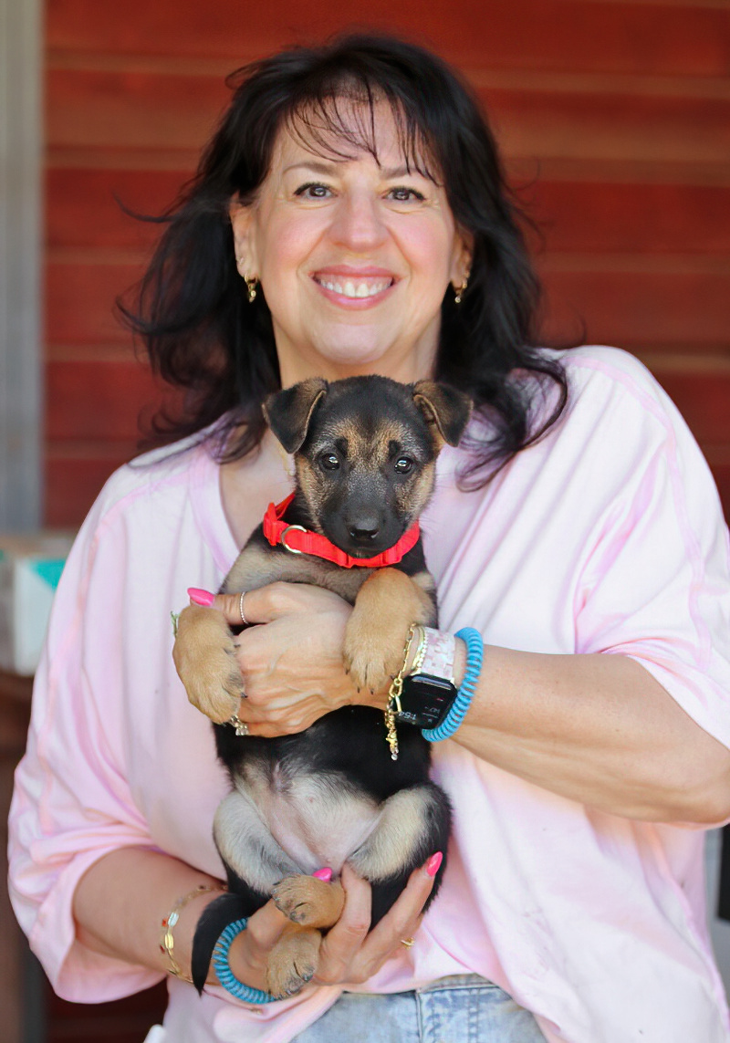 Westside German Shepherd Rescue of Los Angeles