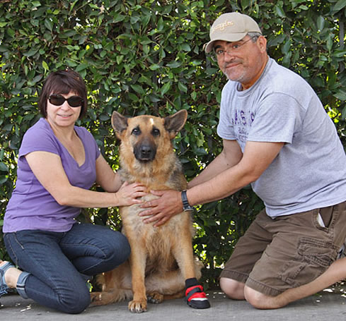 Westside German Shepherd Rescue of Los Angeles