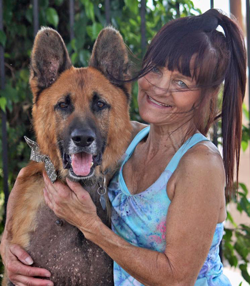 Westside German Shepherd Rescue of Los Angeles
