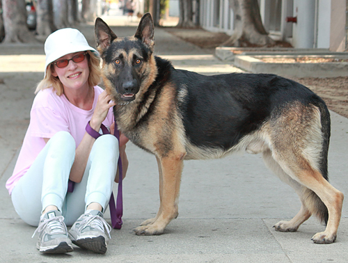 Westside German Shepherd Rescue of Los Angeles
